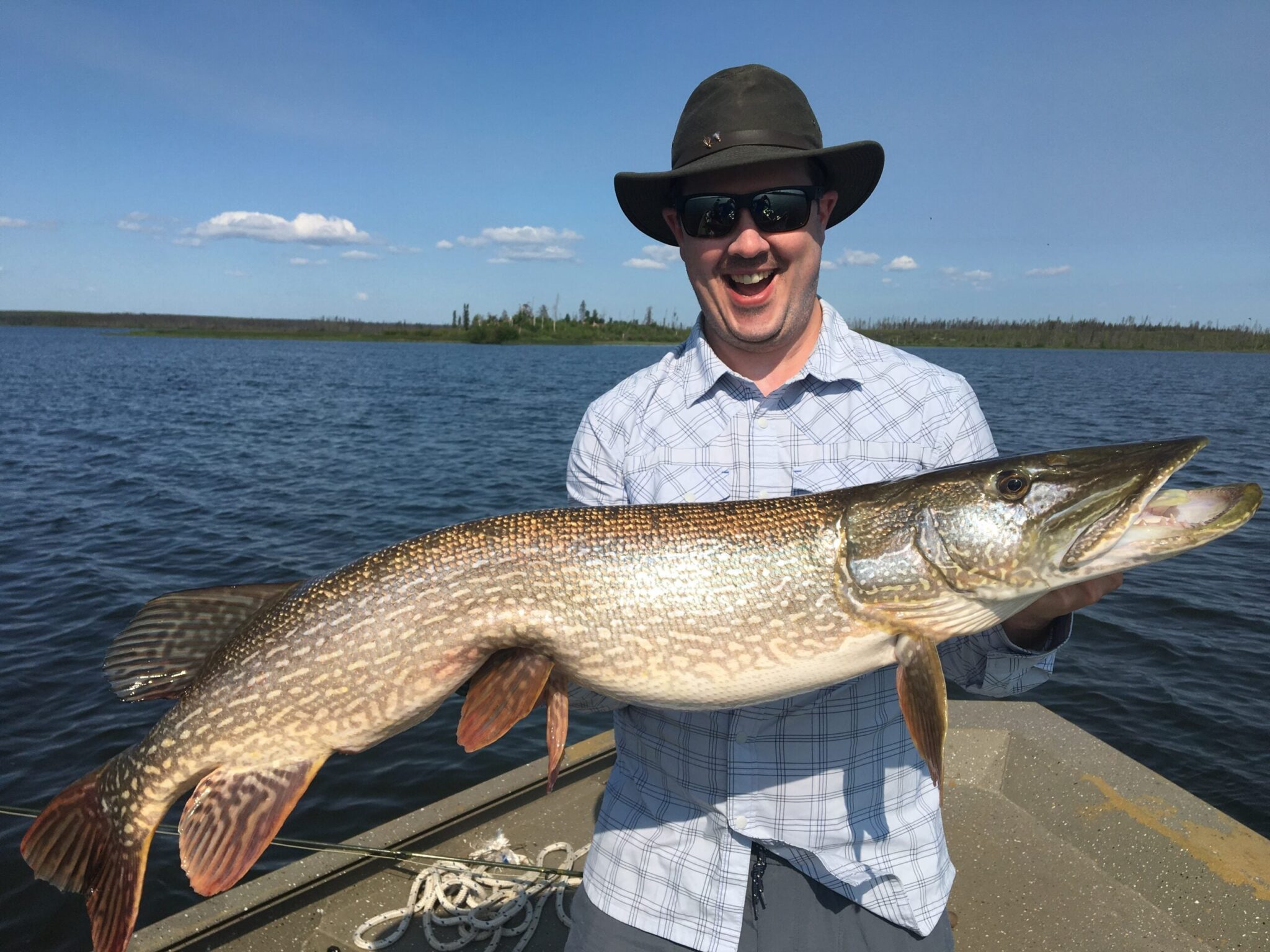 Pike Fishing 101: A Beginner’s Guide to Catching Big Northerns on Lures ...