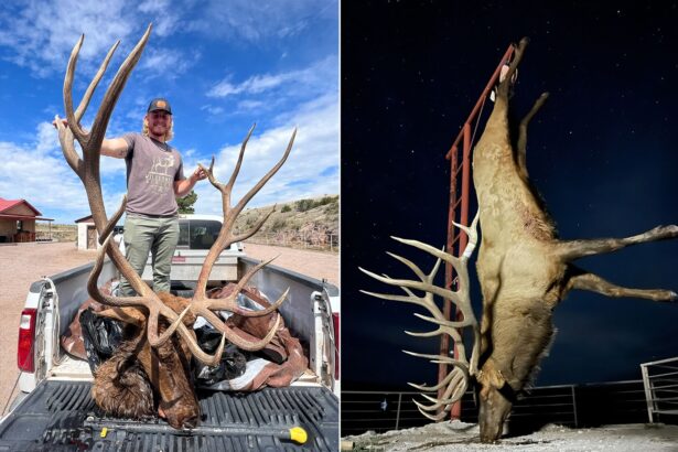 New Mexico Hunter Arrows Potential State-Record Bull Elk – Afield Daily