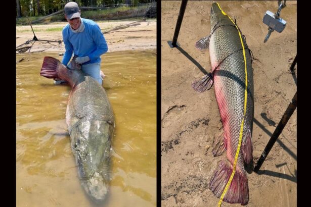 Angler Catches Potential World-Record Gar on Six Pound Test Line ...