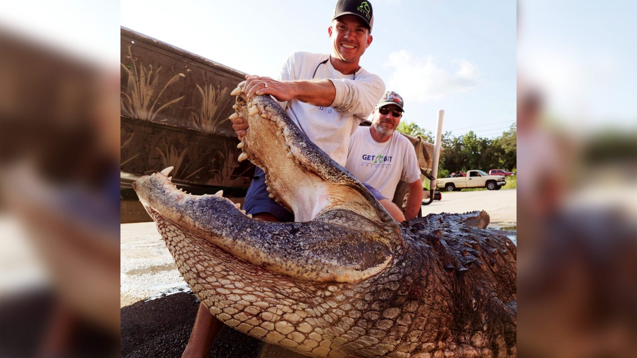 920-Pound Gator the Second Heaviest Ever Tagged in Florida – Afield Daily