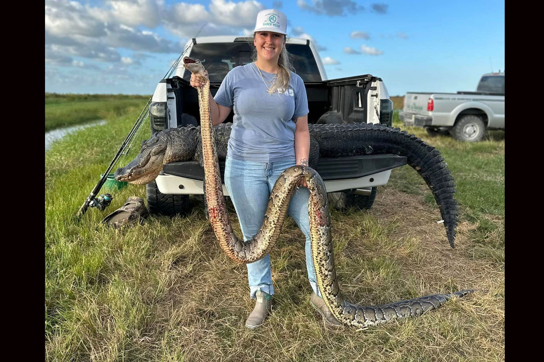 Alligator Hunters Capture Rare Burmese Python in Central Florida ...